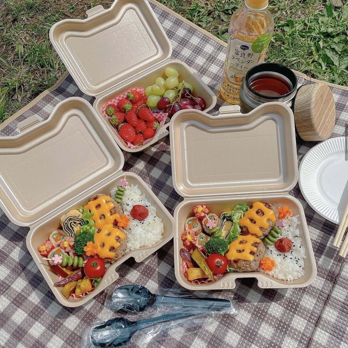 作り置きを詰めるだけ！楽ちんおしゃピク🌸🐝 misakiシェフのレシピ | SHAREDINE